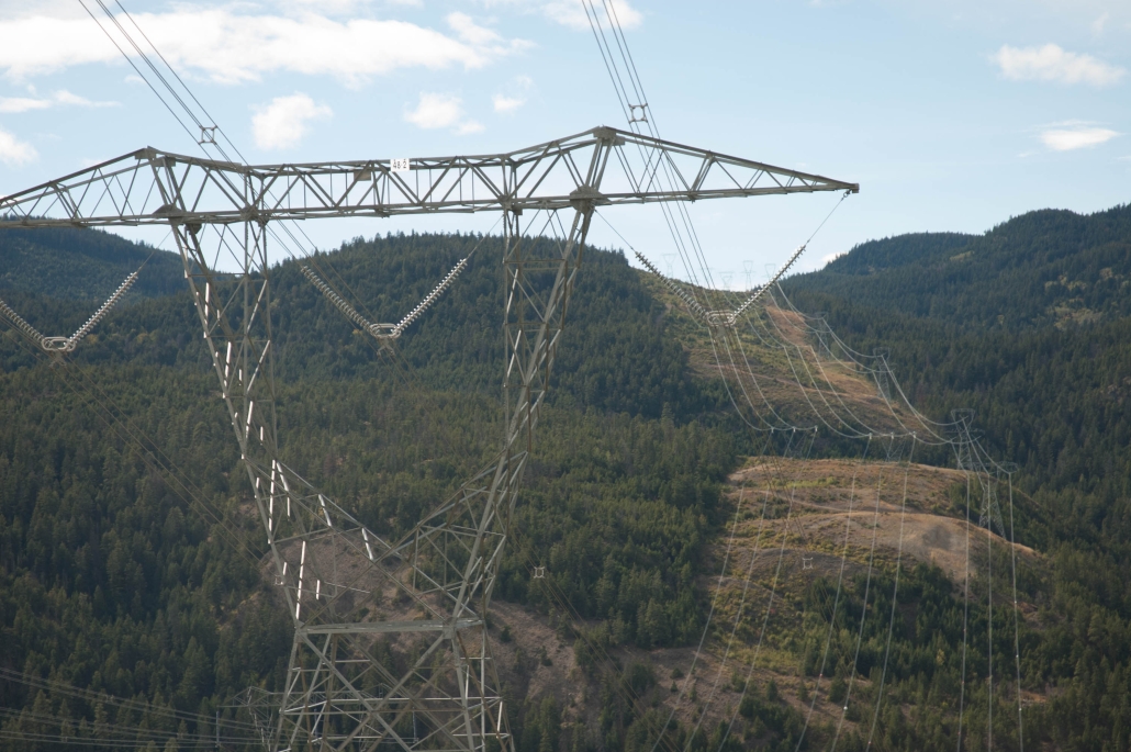 Landscape Planning and Design - MVGLA